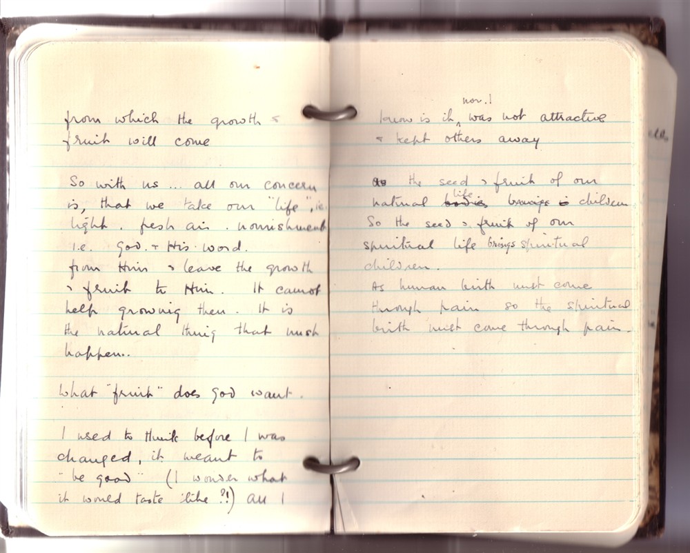 Diary entry from the diary of Flora Doris Jolly - My Brighton and Hove