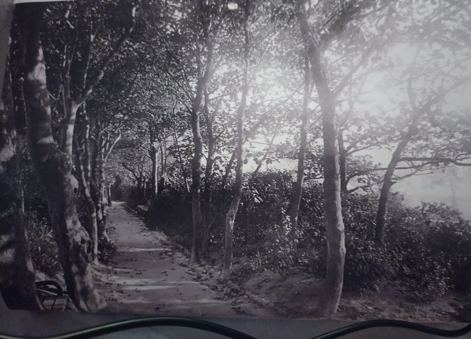 Where in Preston Park was this taken? (1890!) - My Brighton and Hove