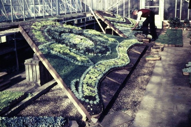 Hove Floral Clock At The Chelsea Flower Show | Nostalgia Gallery | My ...