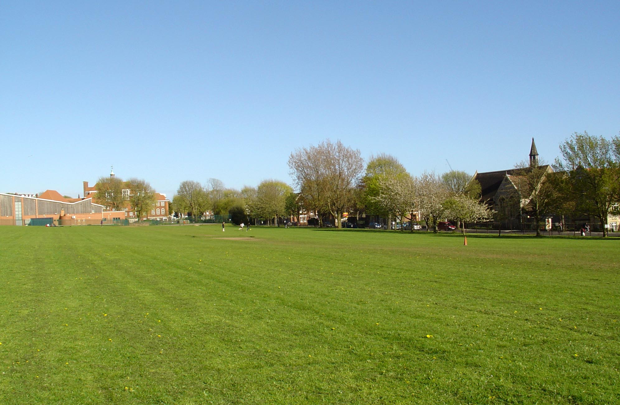 Can you help Friends of the Field? | Community Groups, City Insights ...