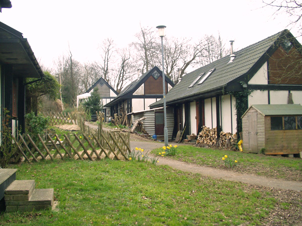 Houses that grow in the trees | Golf Drive | My Brighton and Hove