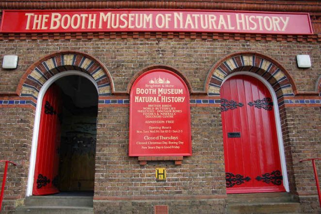 Booth Museum of Natural History | Dyke Road | My Brighton and Hove