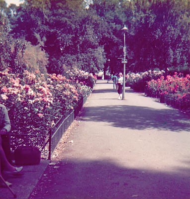 Photographic miscellany | The Level | My Brighton and Hove