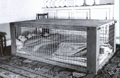 Rationing and the Morrison shelter | Wartime Memories | My Brighton and ...